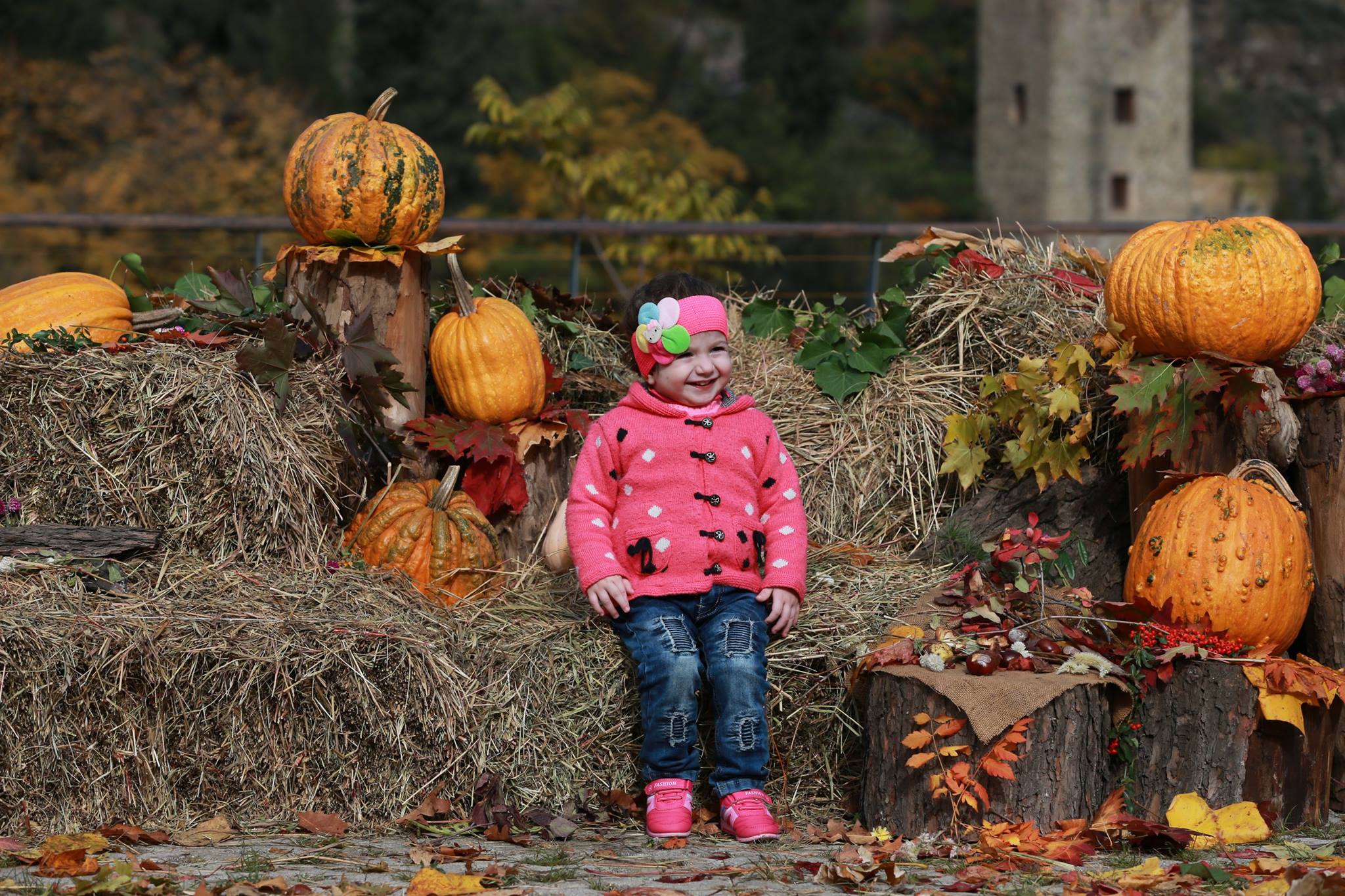 საქართველოს ეროვნული ბოტანიკური ბაღი
